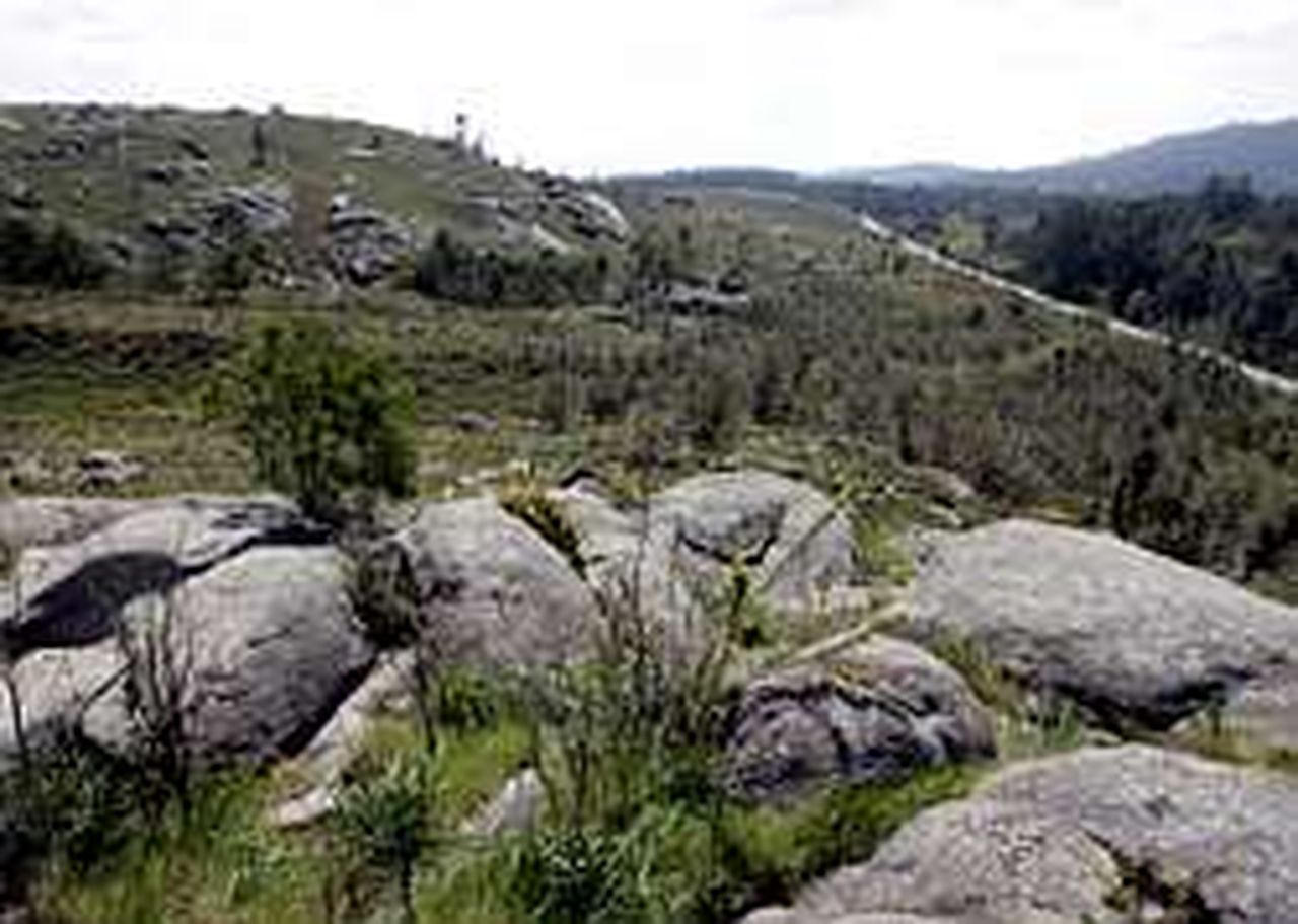 Unos 900 vecinos firmaron un escrito contra la cantera proyectada en Bealo