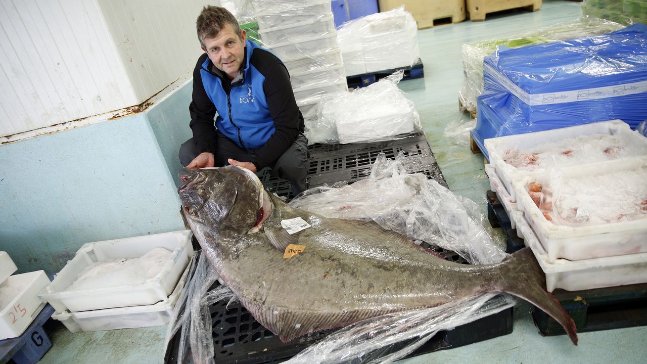 Un fletán de 43 kilos hecho raciones: «Hay clientes que buscan sabores ...