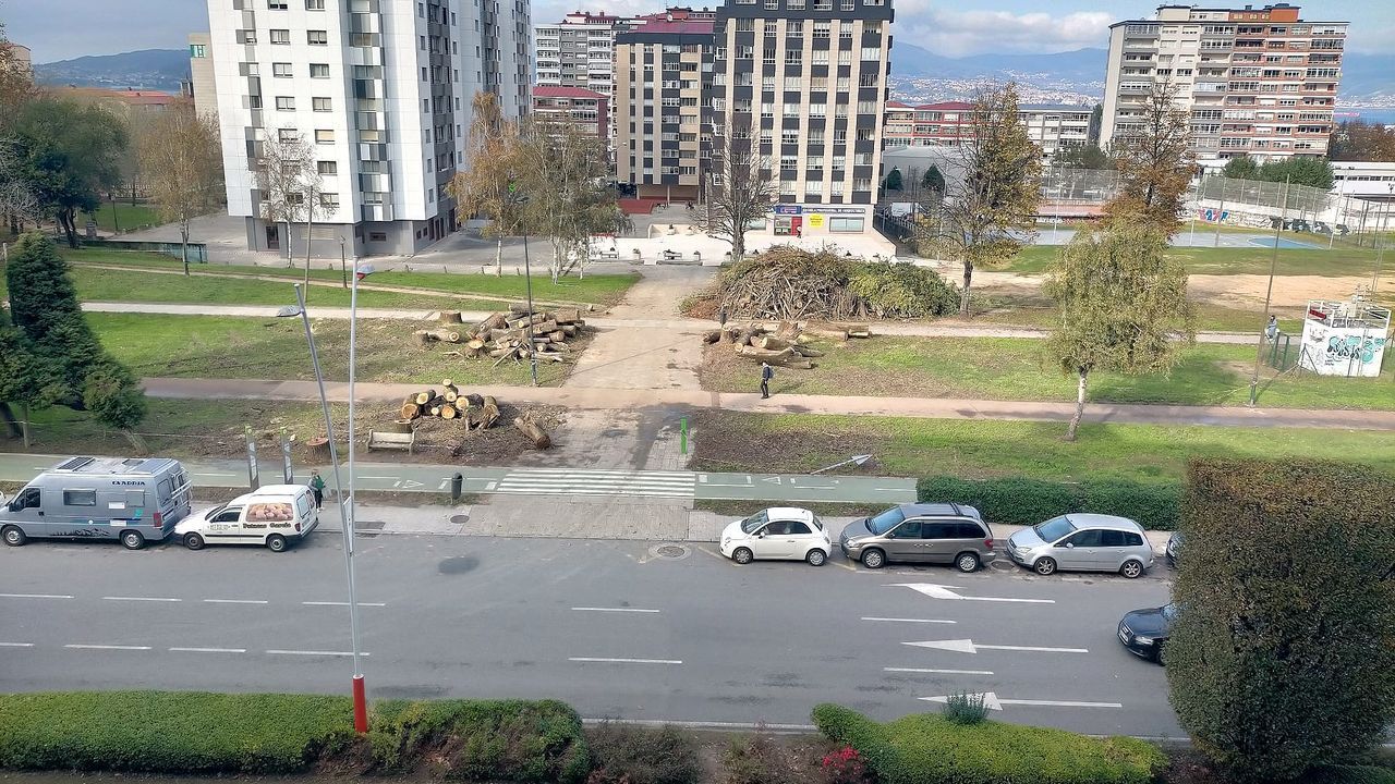 El antes y el después de la tala masiva en Coia