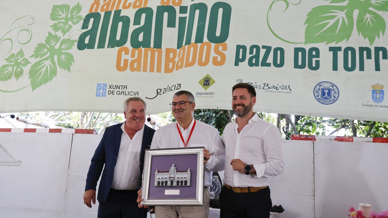 La Festa do Albariño corona a Mar de Ons como mejor vino del 2024 en ...