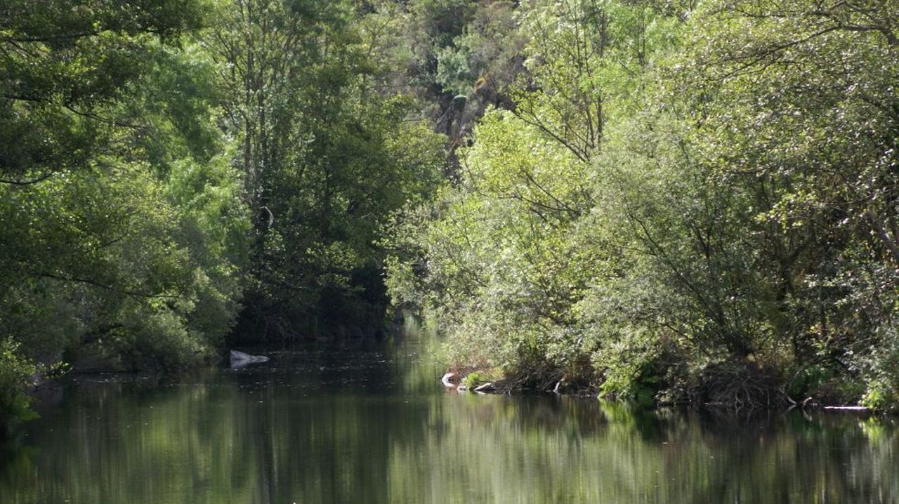 La crecida del río Bibei por la apertura de una presa arrastra a un ...