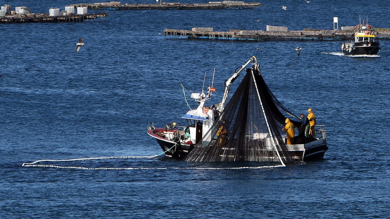 España ofrece 1.890 y 2.100 euros a 600 barcos que carecen de cajas ...