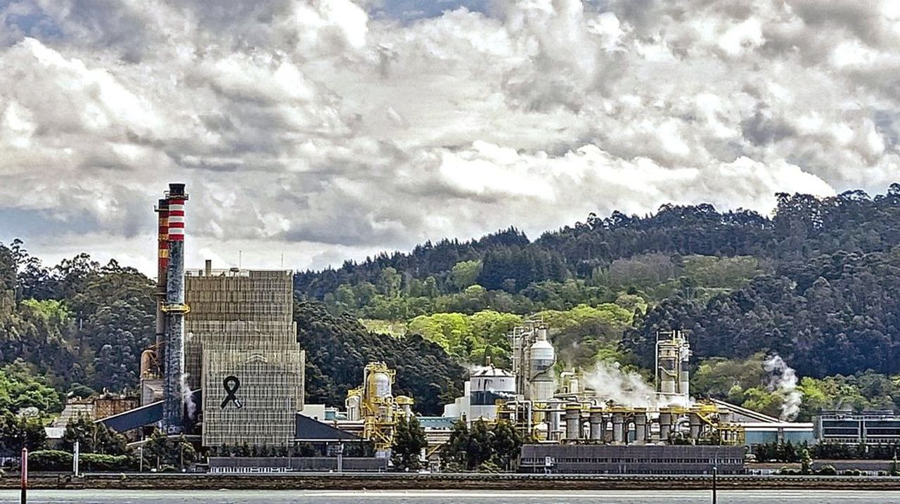 Ence y la start-up sueca ShareText se alían para construir una planta piloto de reciclado textil ...