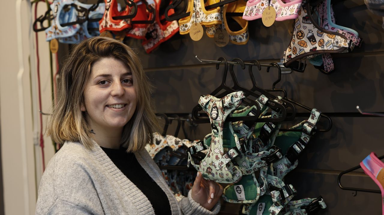 Aloumiños aumenta la oferta de peluquerías estéticas caninas en la ...