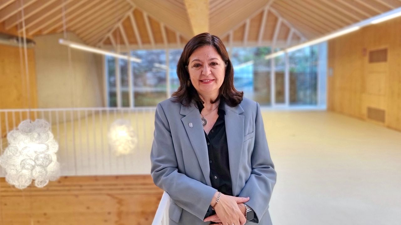 Maribel del Pozo, intérprete: «Al no haber plazas en la sanidad, se ...