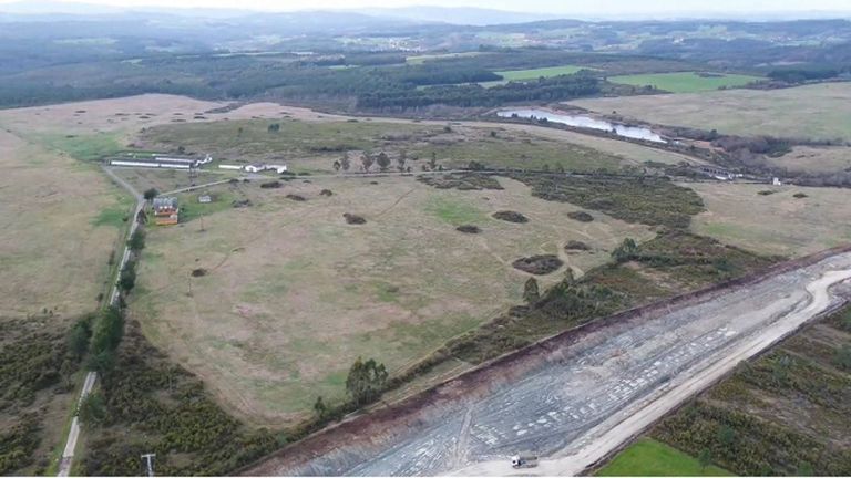 Altri prevé consumir cerca del 20 % del eucalipto que se corta en Galicia