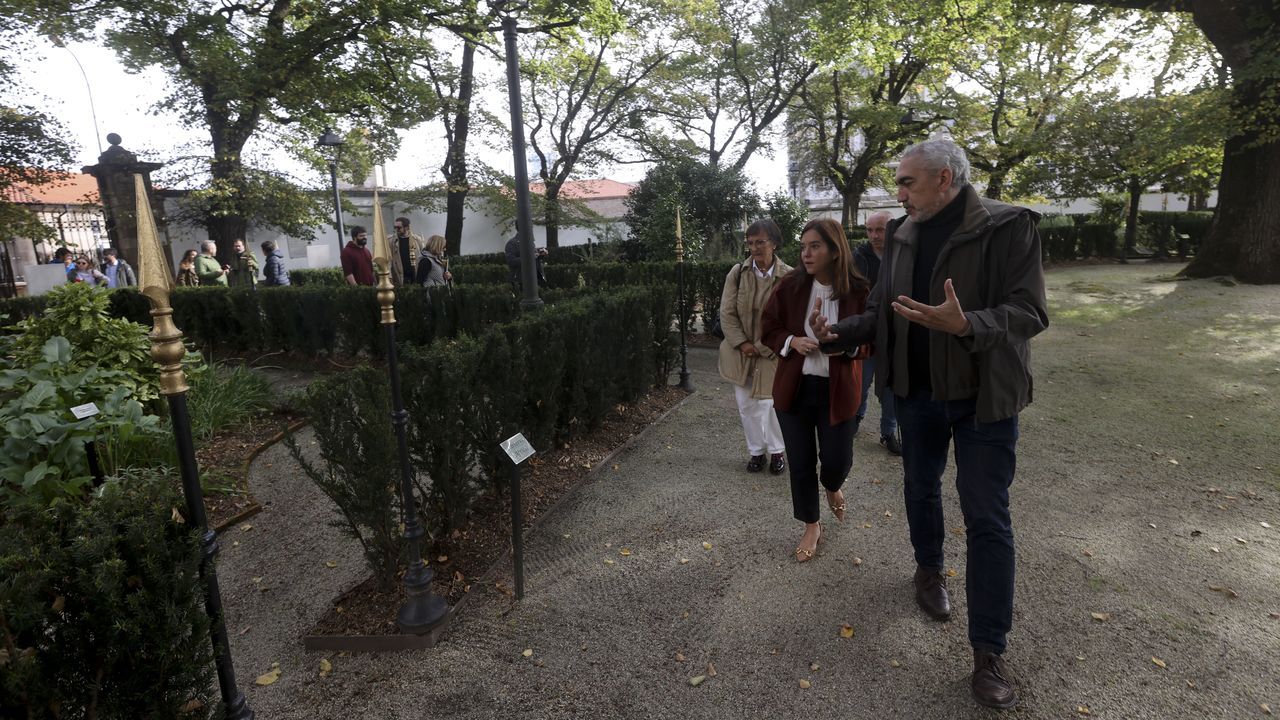 El jardín de San Carlos reabre en A Coruña convertido en botánico y sin ...