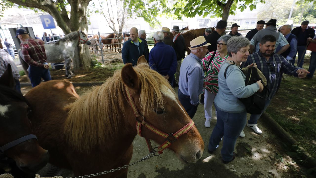Éxito rotundo de As Quendas en Mondoñedo: «Foron unhas San Lucas pequenas»
