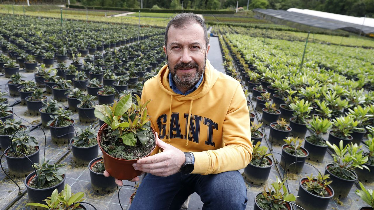 José Collazo: «Una gran riada nos arrasó. Pero lo que no te mata te ...
