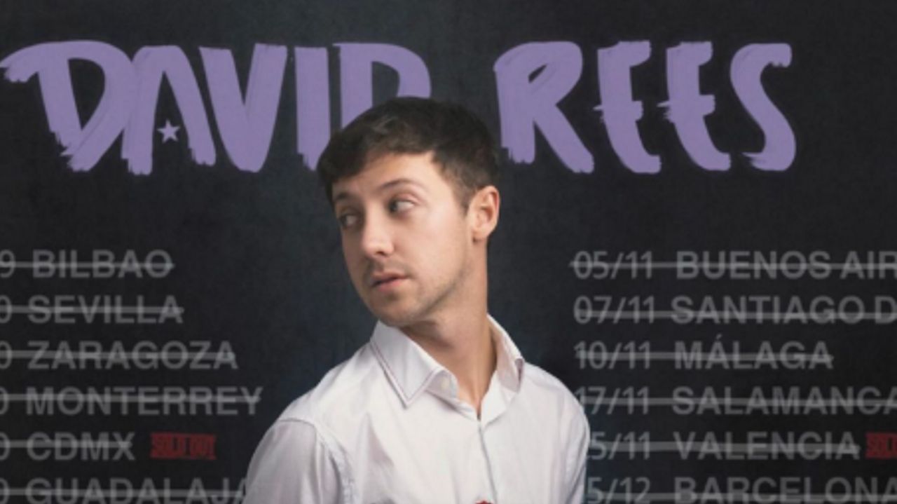 David Rees, un cantautor de letras emotivas
