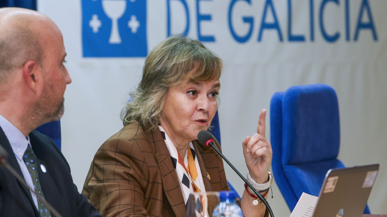 Rosa Ana Morán, fiscala jefa antidroga de la Audiencia Nacional ...