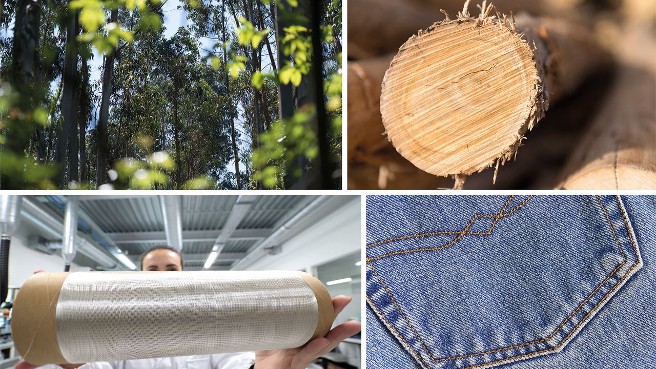 Galicia: la alternativa de Europa a las fibras sintéticas textiles