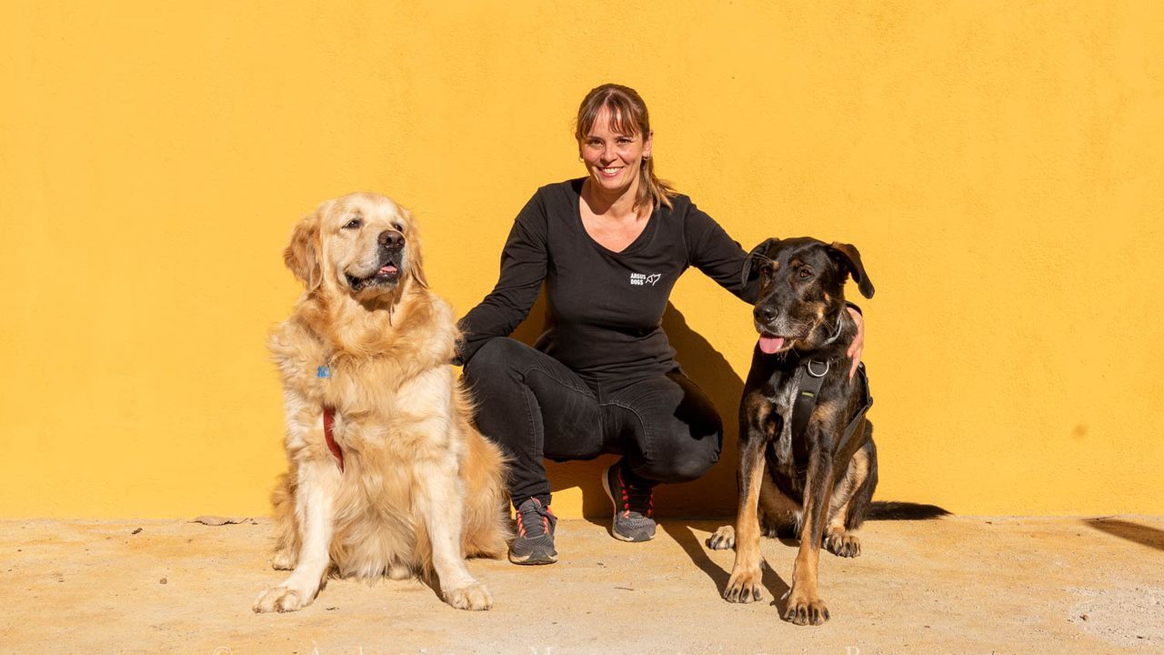 Ingrid Ramón, educadora canina: «La mayoría de la gente que tiene perro ...