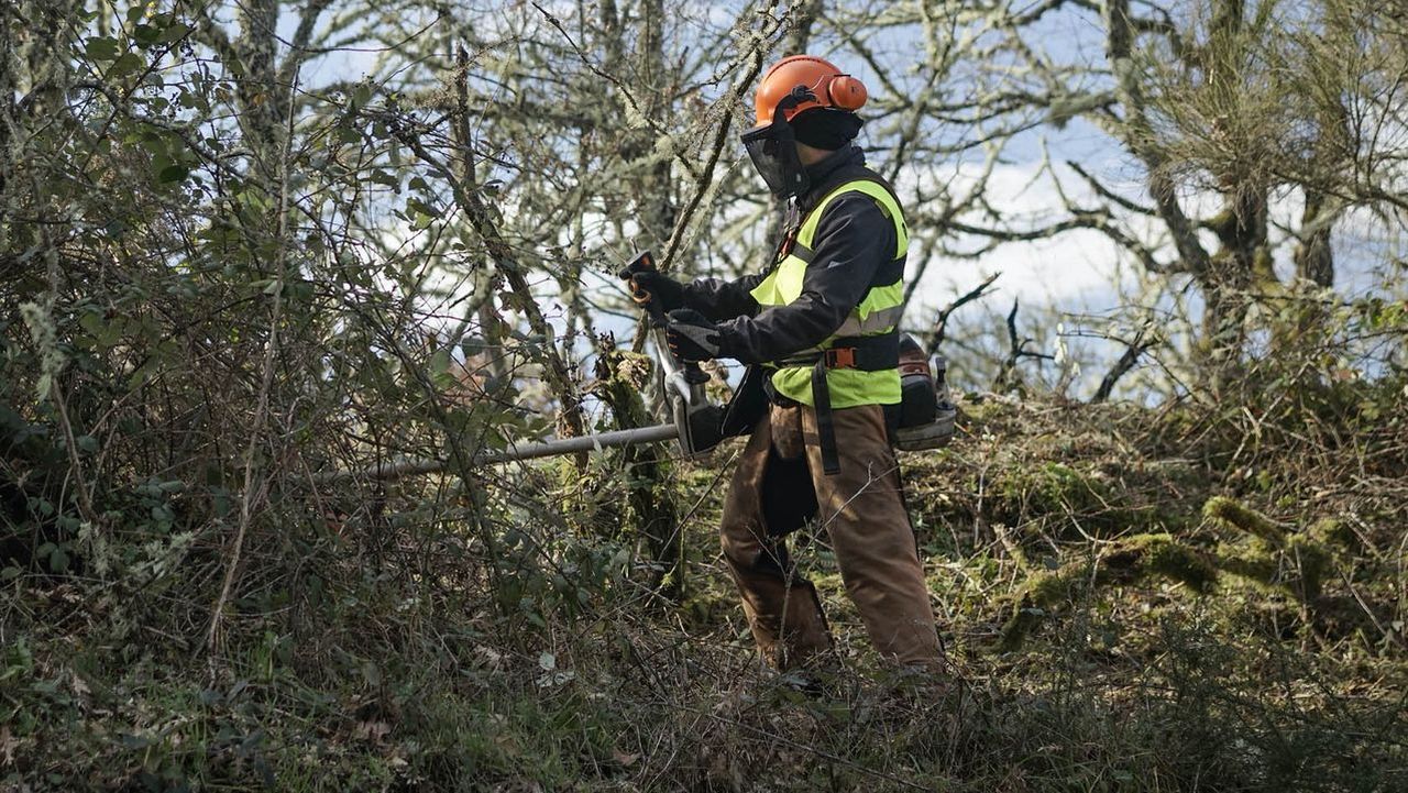 O Baixo Miño reactiva su red de vigilancia forestal tras detectar ...