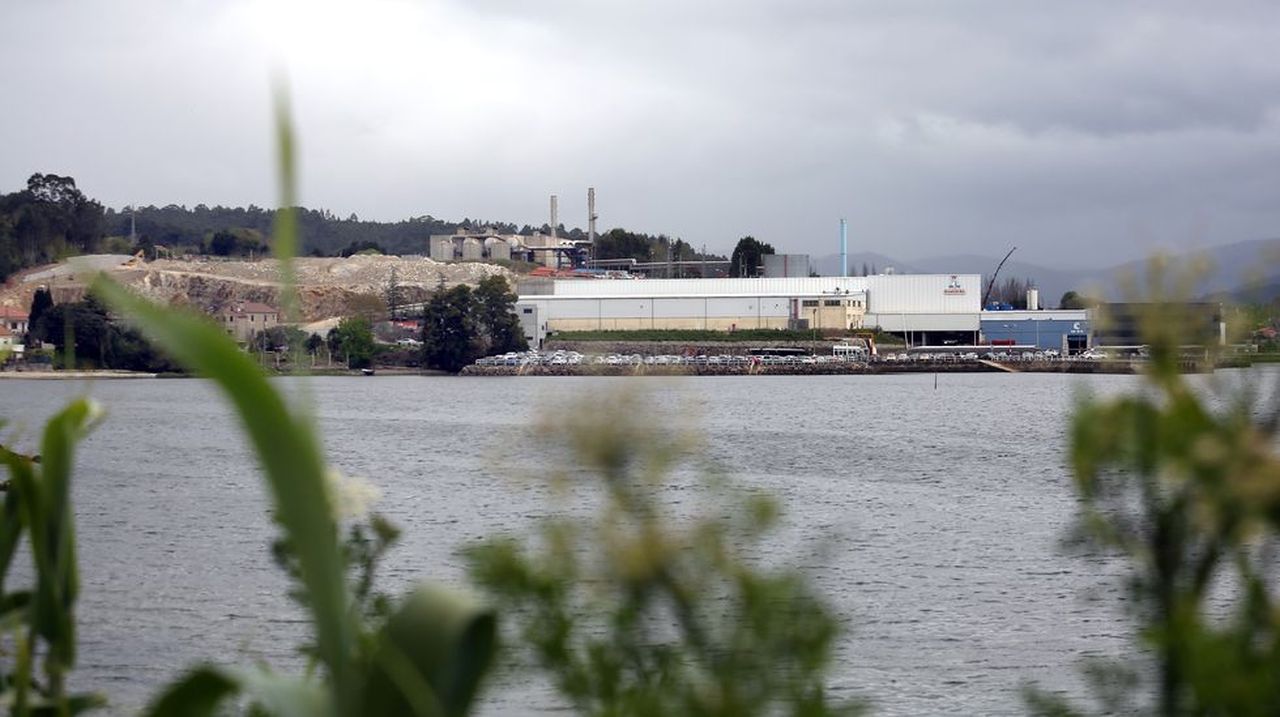 Jealsa recupera la senda de crecimiento y alcanza los 781 millones de ...