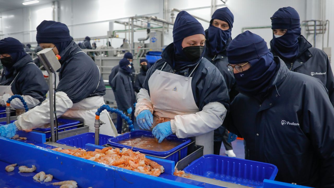 Profand se consolida en Cambre con 277 empleos y 10 millones de inversión