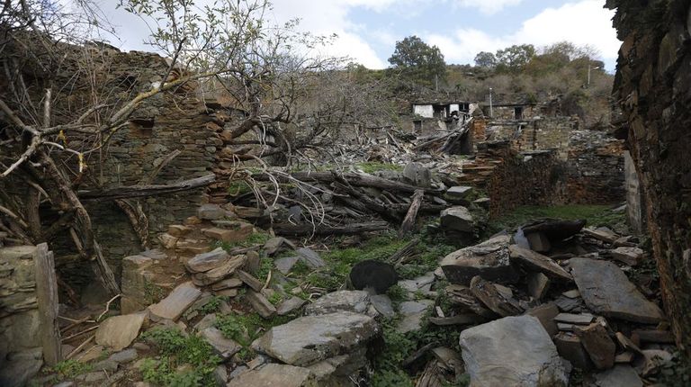 «As Bestas», la historia real del crimen de Petín que ha arrasado en ...