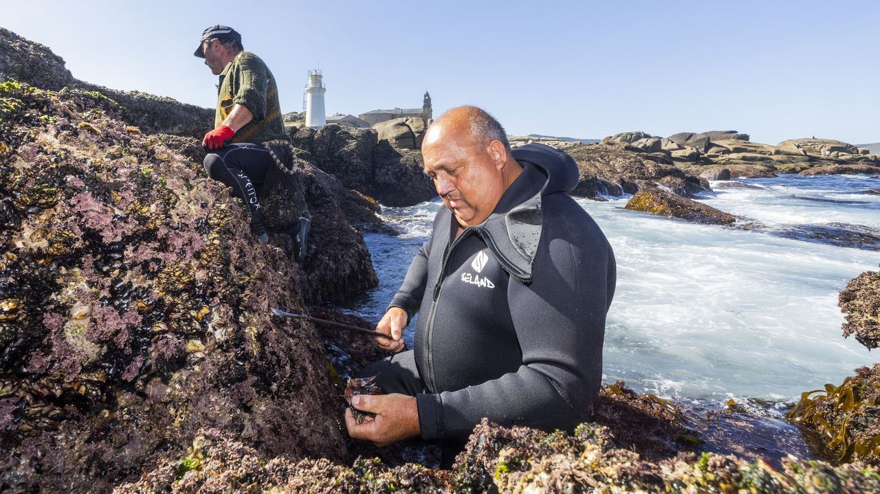 Los percebeiros de Muxía vuelven a A Barca