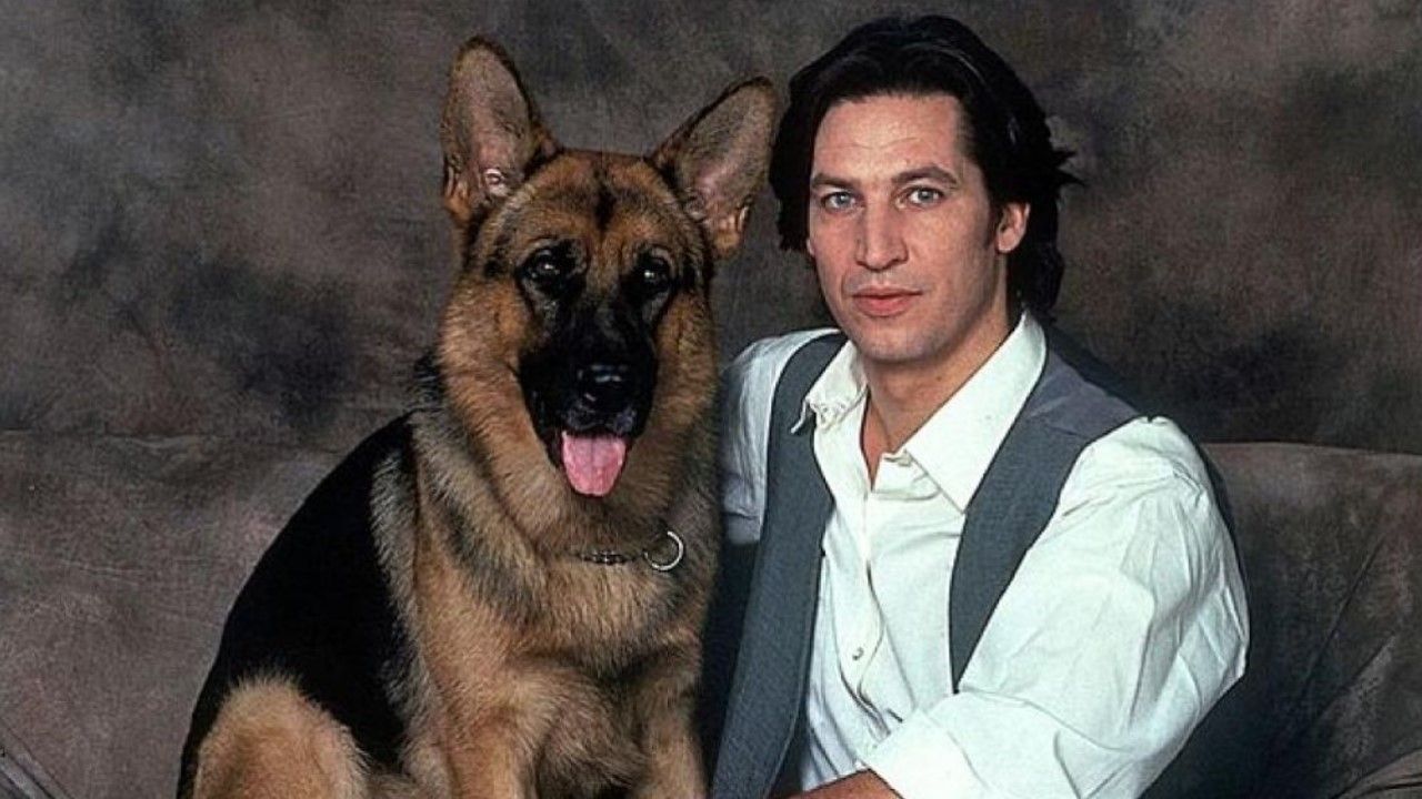 Un perro está entrenando para la vuelta de la serie «Rex, un policía ...