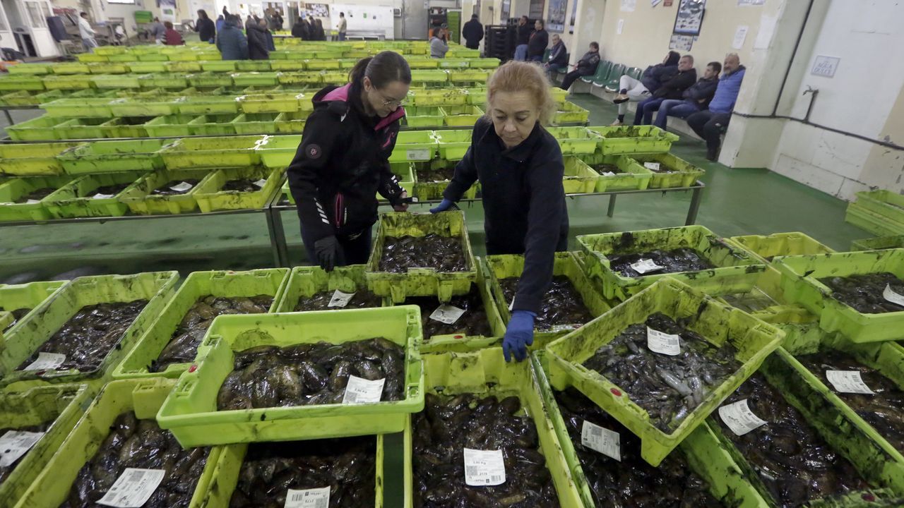 La primera lección del arranque de la campaña de los trasmallos: hay ...