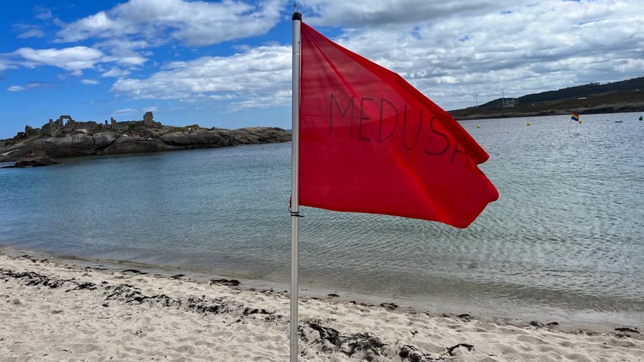 Las carabelas portuguesas dieron este martes un respiro en las playas ...