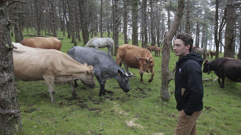 El sueño de Martín Duarte, 26 años, el ganadero más joven de Viveiro ...