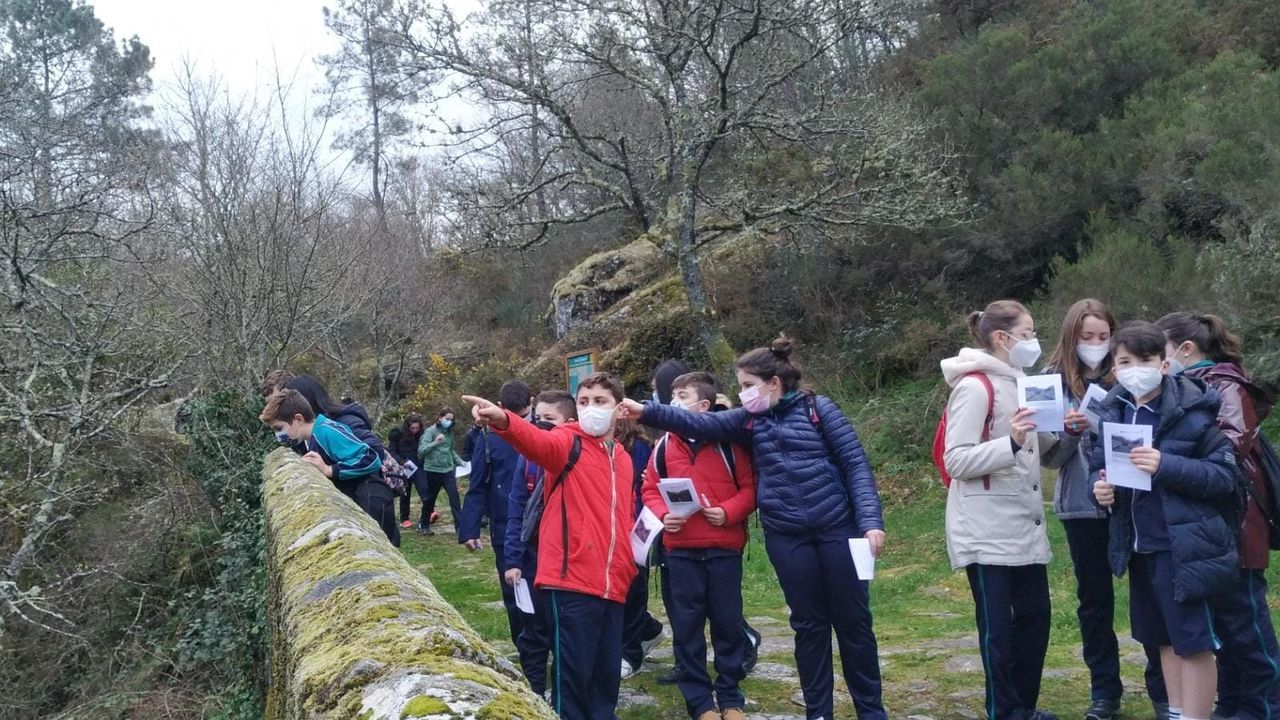 Alumnos del CEIP de Silleda y del María Inmaculada, en la ruta jacobea