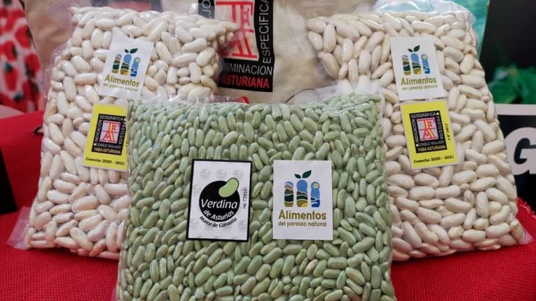 El Principáu va convocar en 2025 una llinia d'ayudes p'amenorgar les ...