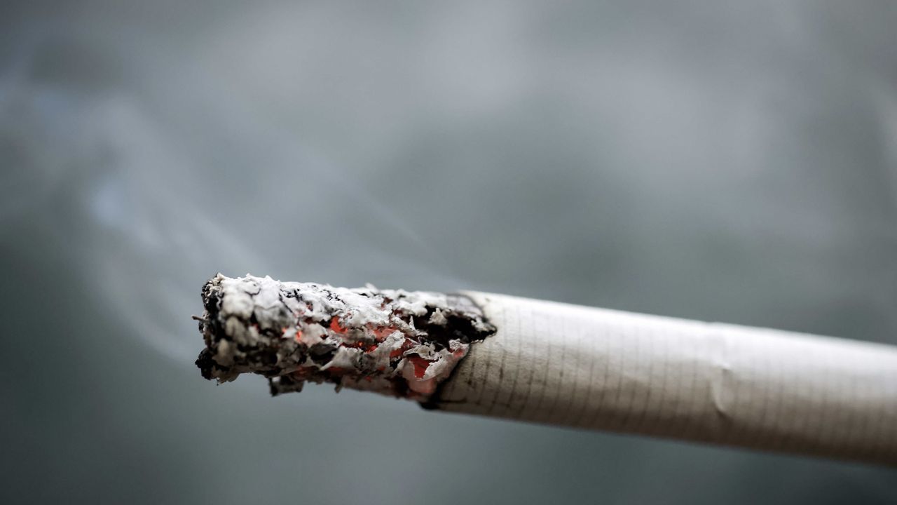 La exposición al humo ambiental del tabaco provoca unas 140 muertes al ...