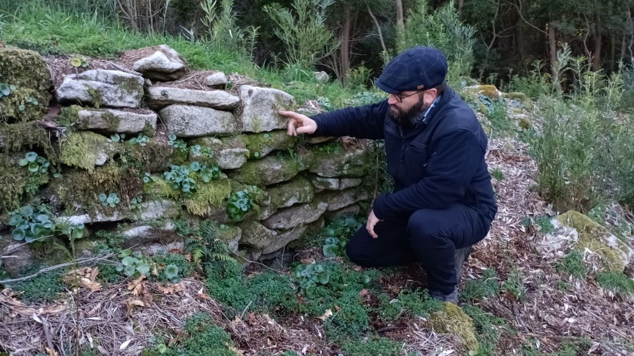 El castro que era un castillo medieval