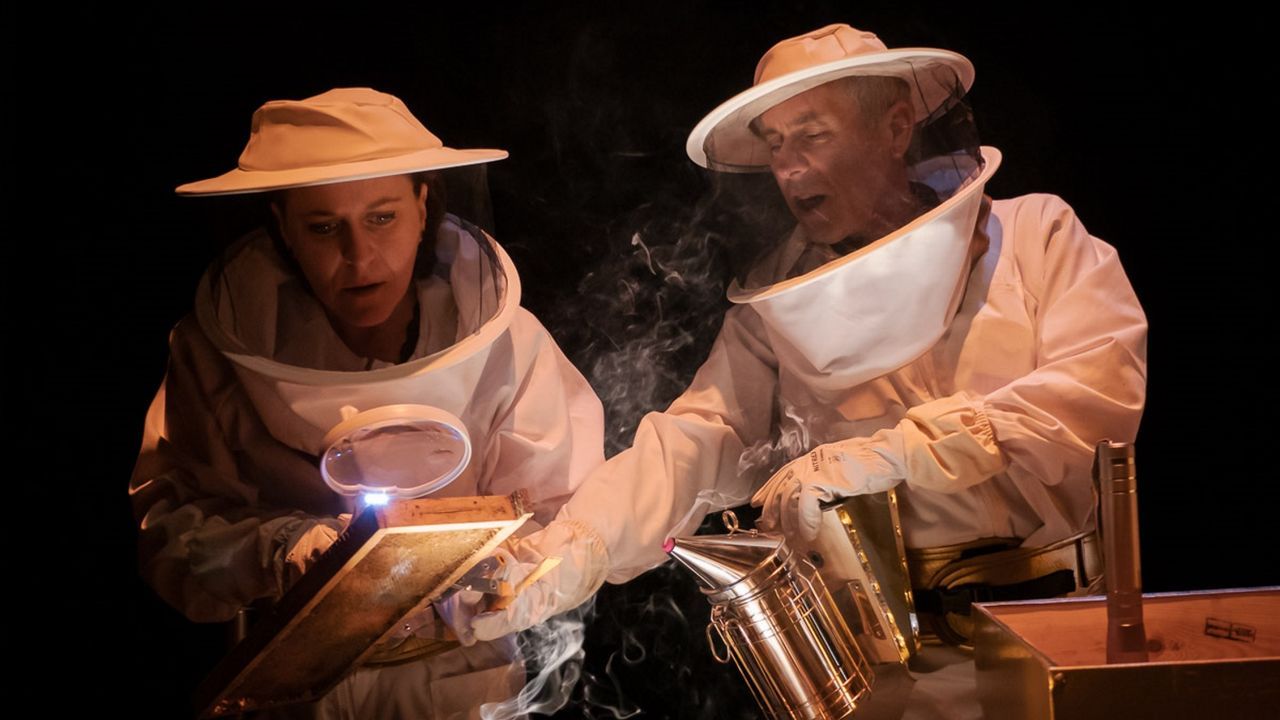 Ibuprofeno presenta la obra «O mel non caduca»