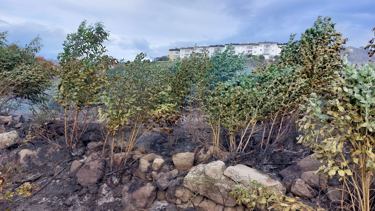 Desalojadas 48 personas de 17 casas de Río Covo y Pedrosa, en Cervo ...