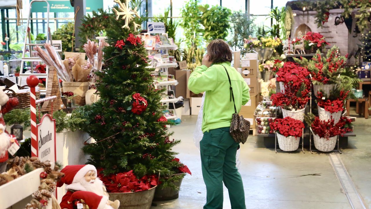 ¿Aún se venden los árboles de Navidad naturales?