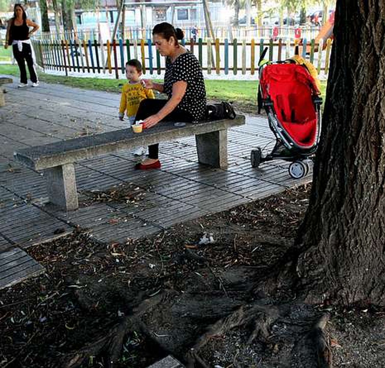 Ravella intentará mejorar el parque Celso Emilio Ferreiro utilizando ...