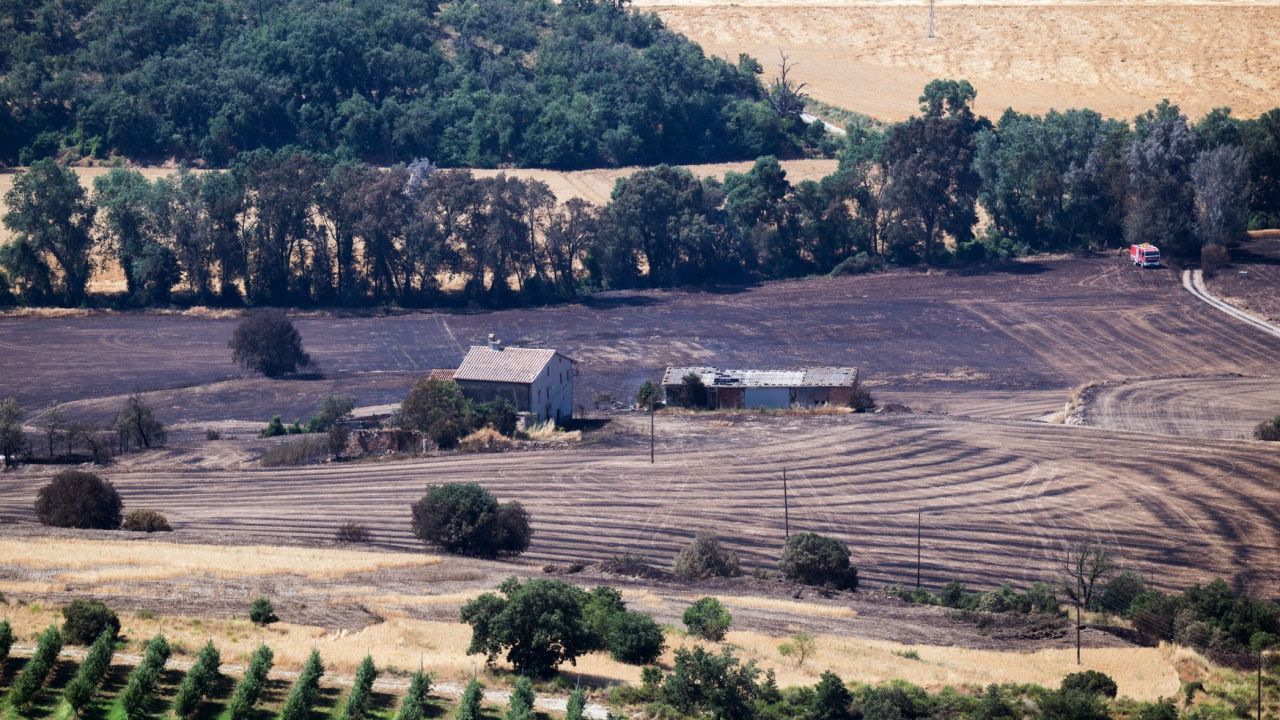 Sparsham nude i've looked over feedback and visited the