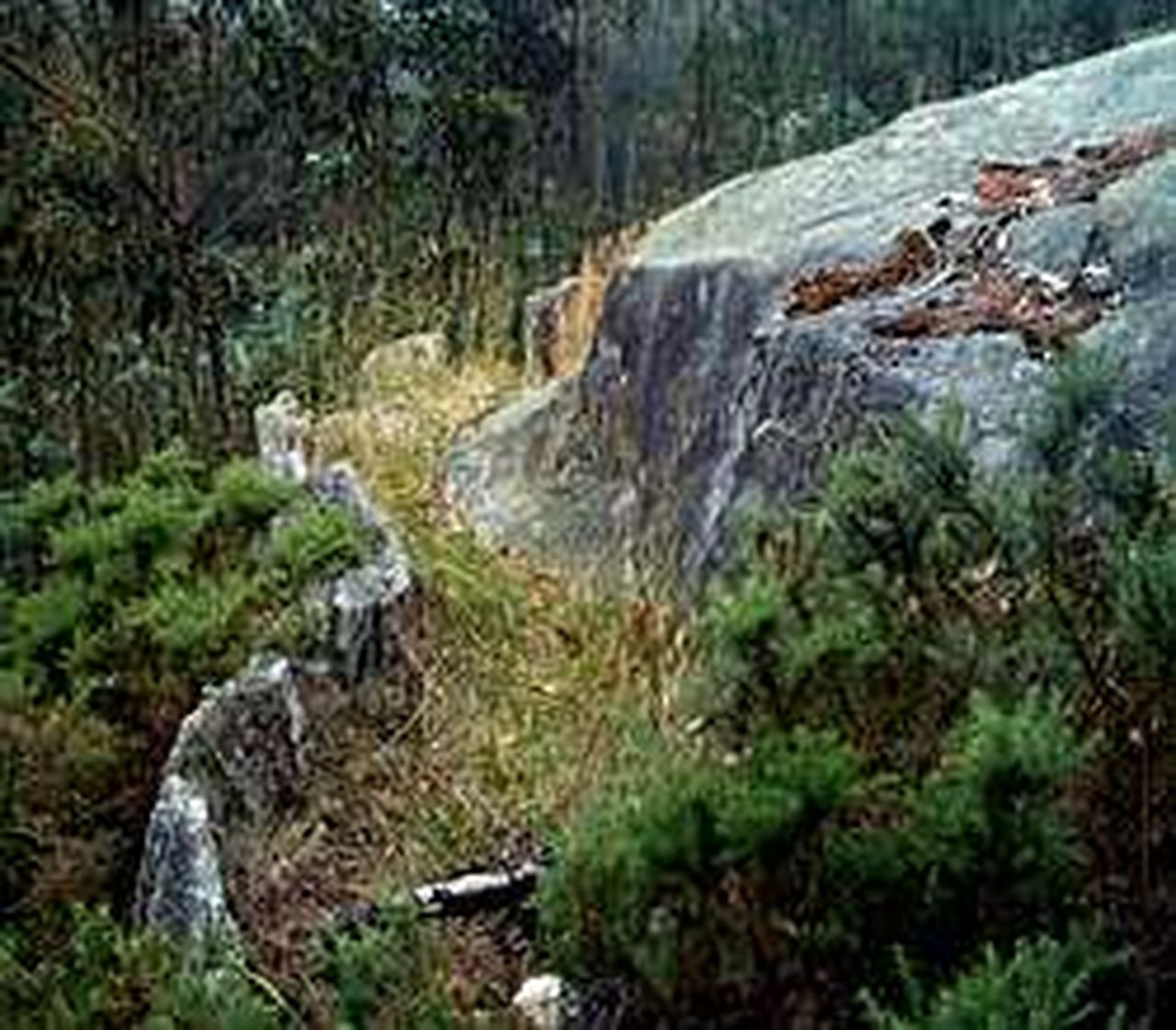 Canalización rudimentaria