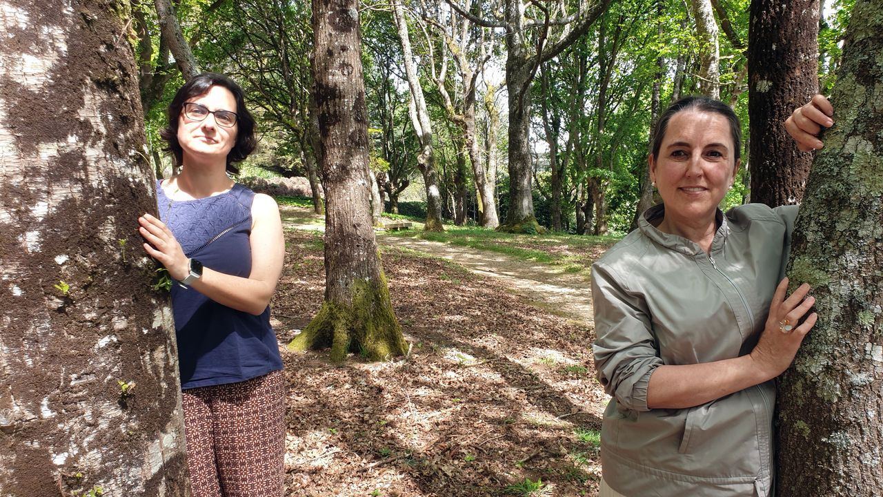 Elena Freire e Ana Cabana, profesoras do campus de Lugo: «En Galicia ...