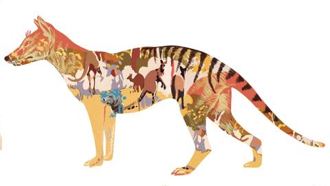 El tigre de Tasmania