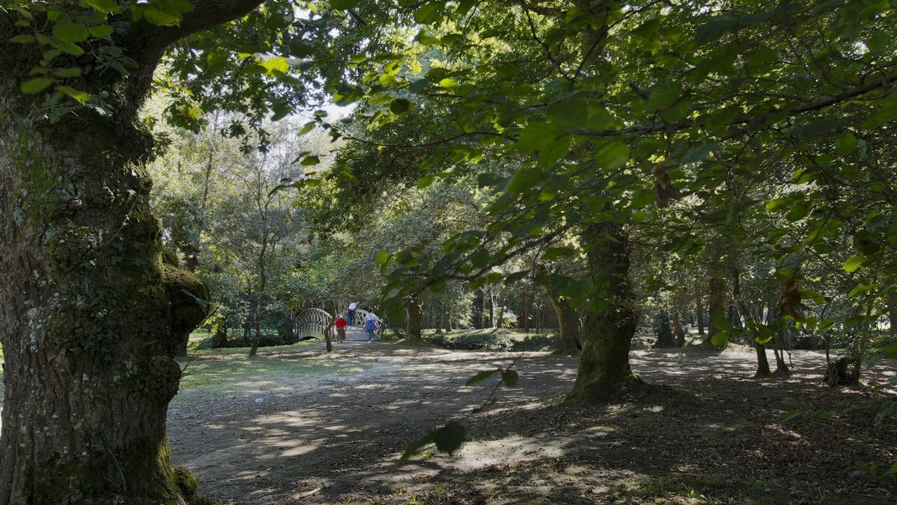 Carballo adquiere 12.000 metros cuadrados del Bosque do Añón