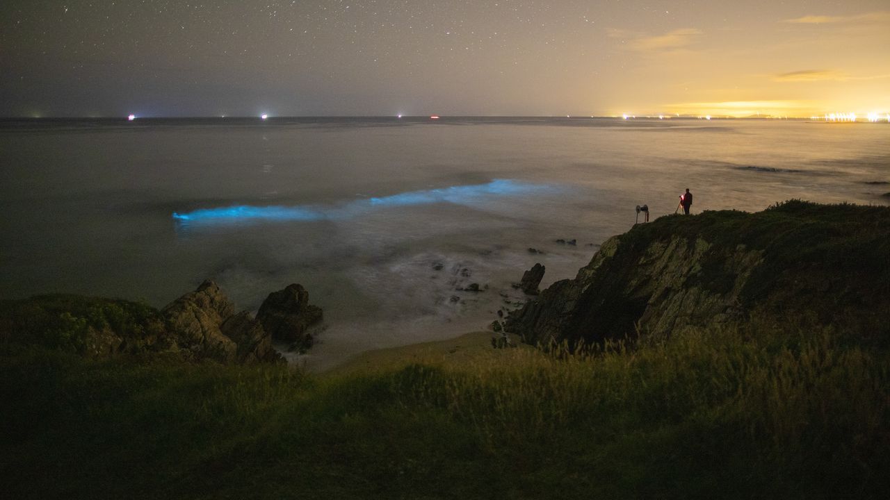 Cinco playas gallegas para disfrutar del Mar de Ardora