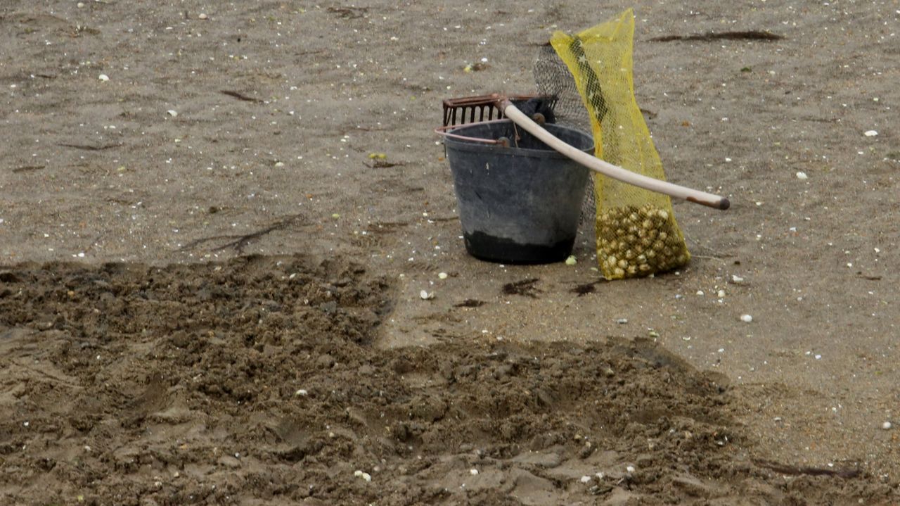 Foromar aborda en Vilagarcía la supervivencia de los trabajadores del ...