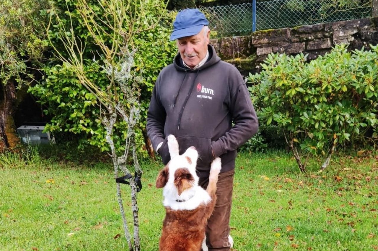 Una viguesa halla en Gondomar a Clay, un border collie perdido hace dos ...