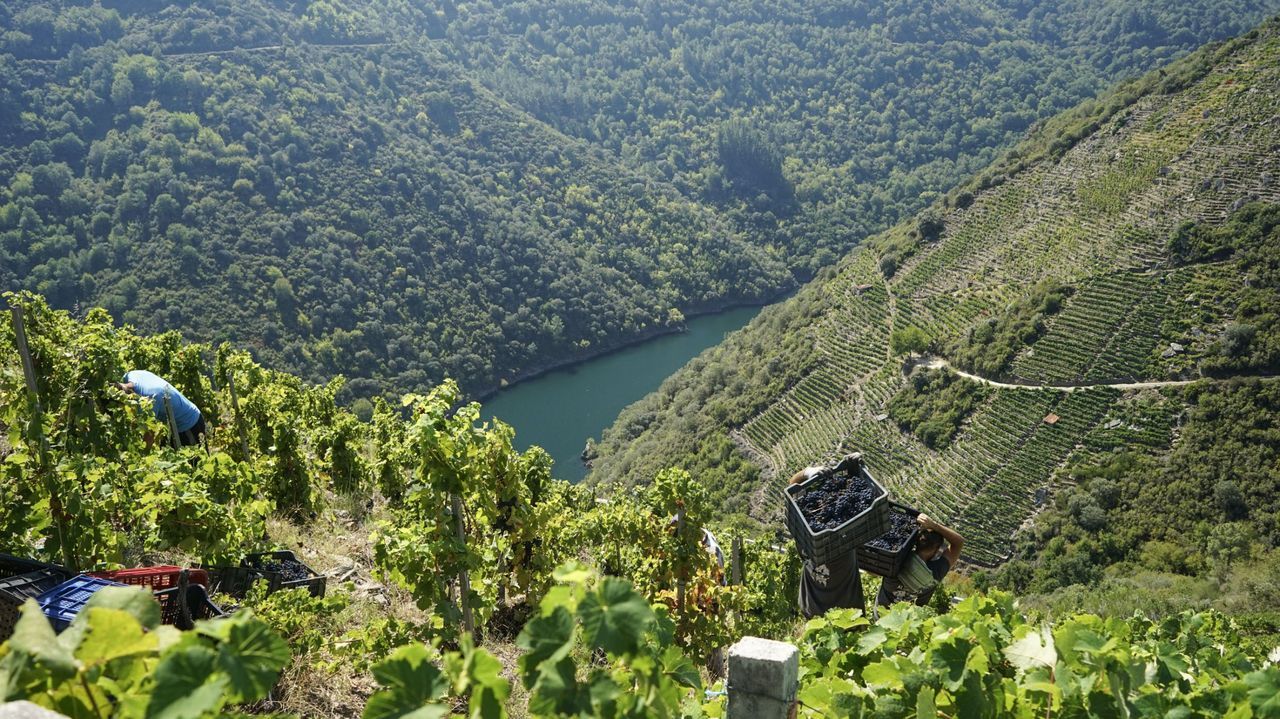 Guía para ver la Ribeira Sacra en agosto: miradores, rutas y monumentos ...