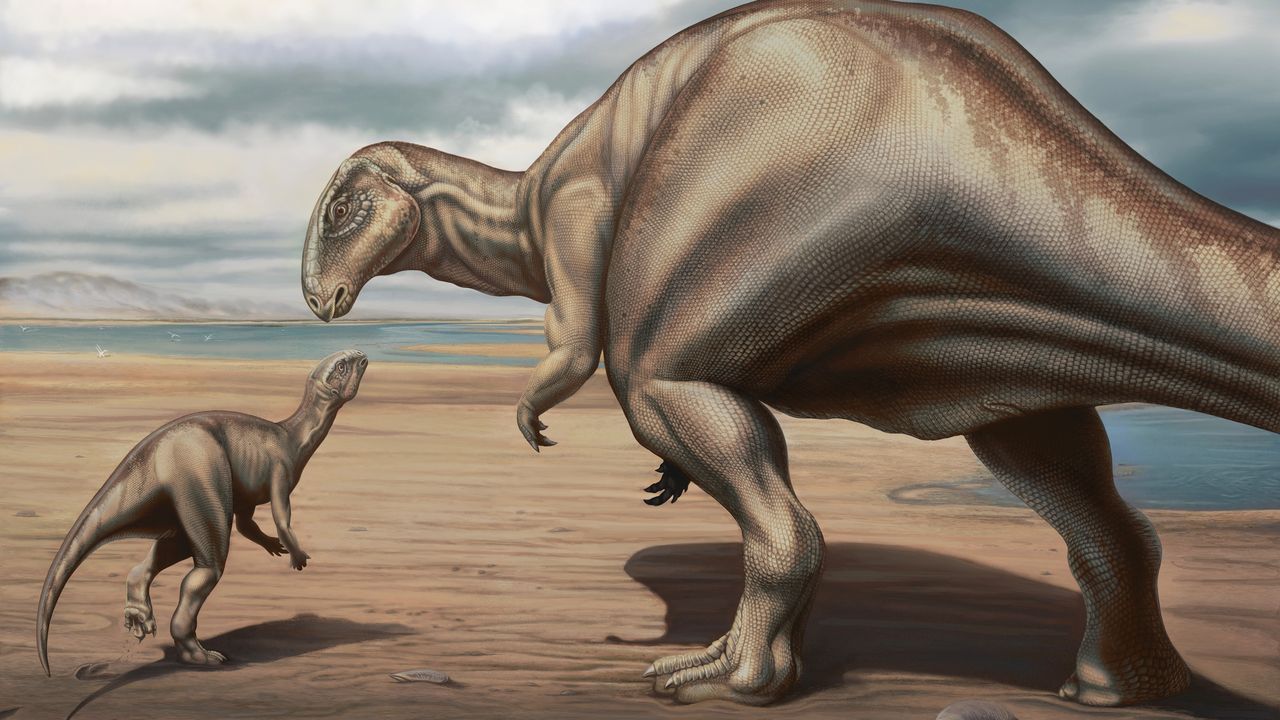 Así es el nuevo dinosaurio descubierto en Portugal: «Era un peso pesado»