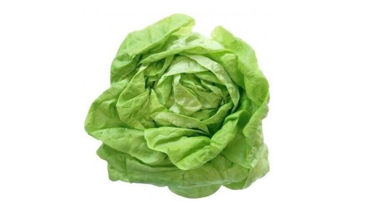 ¿Lechuga, espinacas o rúcula? Por qué es importante acertar con el ...
