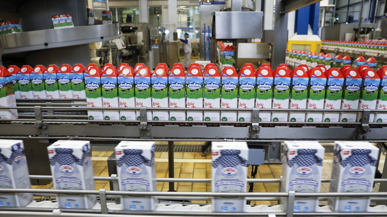 Capsa Food factura la cifra récord de 859 millones, pero reduce su ...