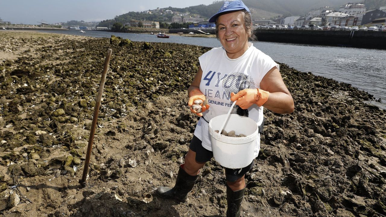 Alfonso Villares sobre el marisqueo en la ría de Viveiro: «Se existe ...