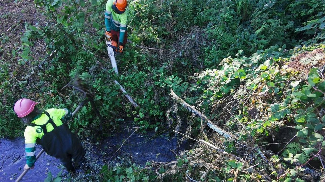Medio Ambiente limpia dos kilómetros de ríos en Vedra y A Estrada