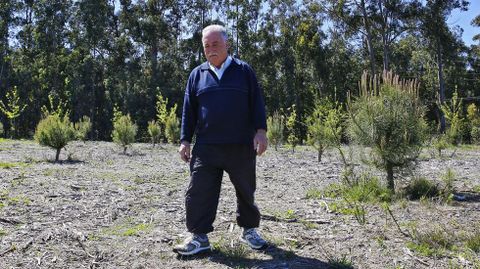 Fernando Pintos y Polo Correo do Vento, premios Cidade de Pontevedra