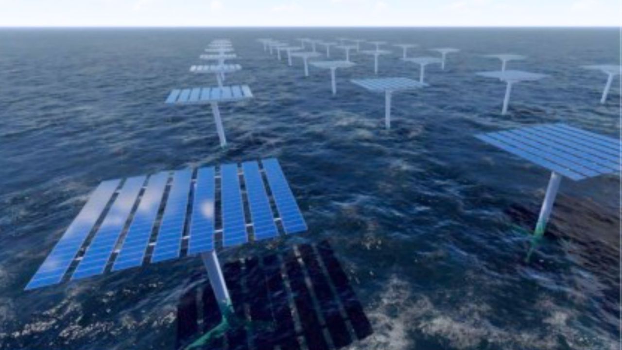 Paneles solares marinos que soportan olas de 5 metros: el innovador ...